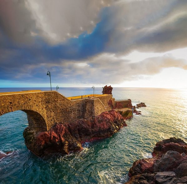 Best Madeira Tours & Transfers by Madeira on Wheels